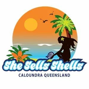 Home | She Sells Shells